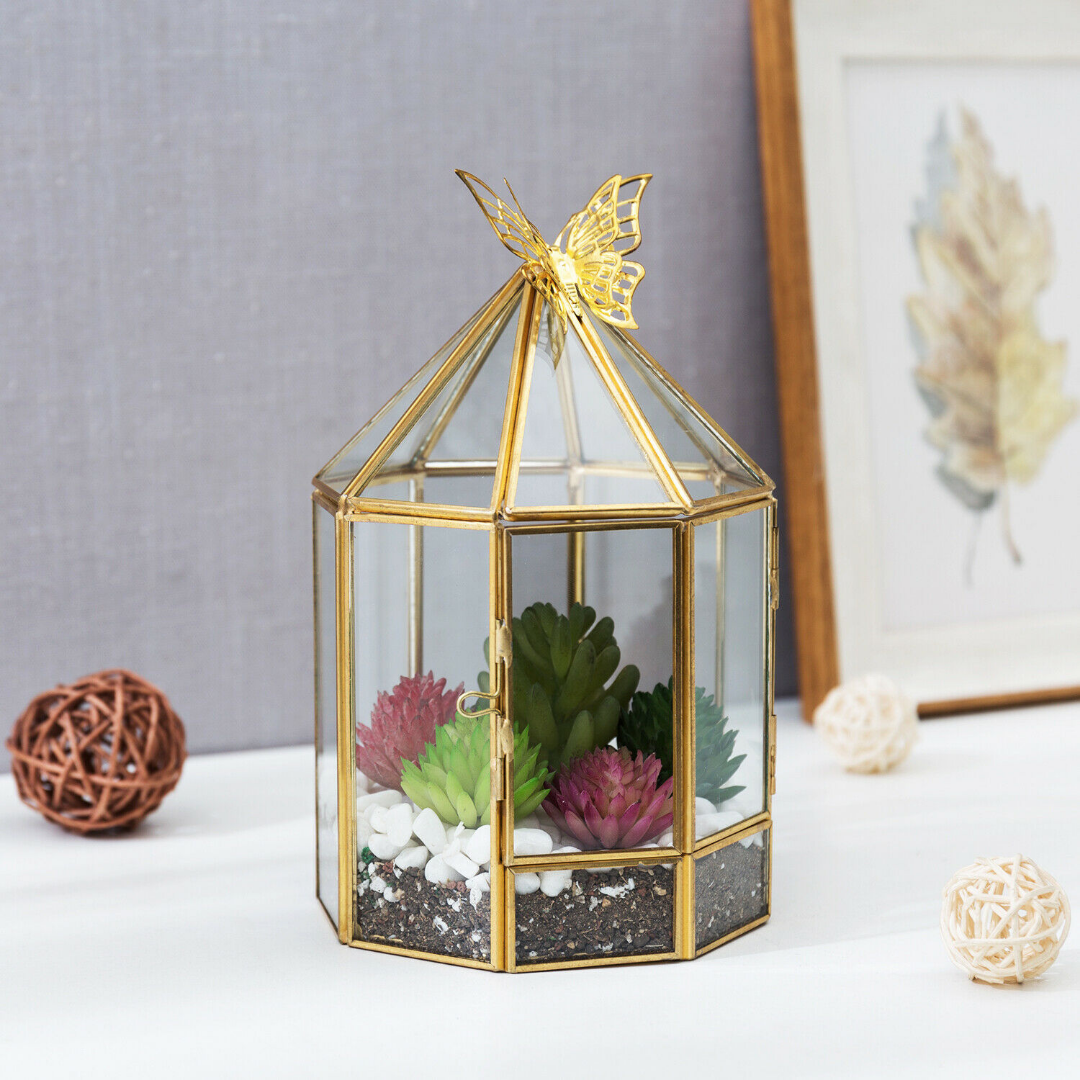 Hexagonal Closed Indoor Glass Plant Standing Terrarium – Par-Masters