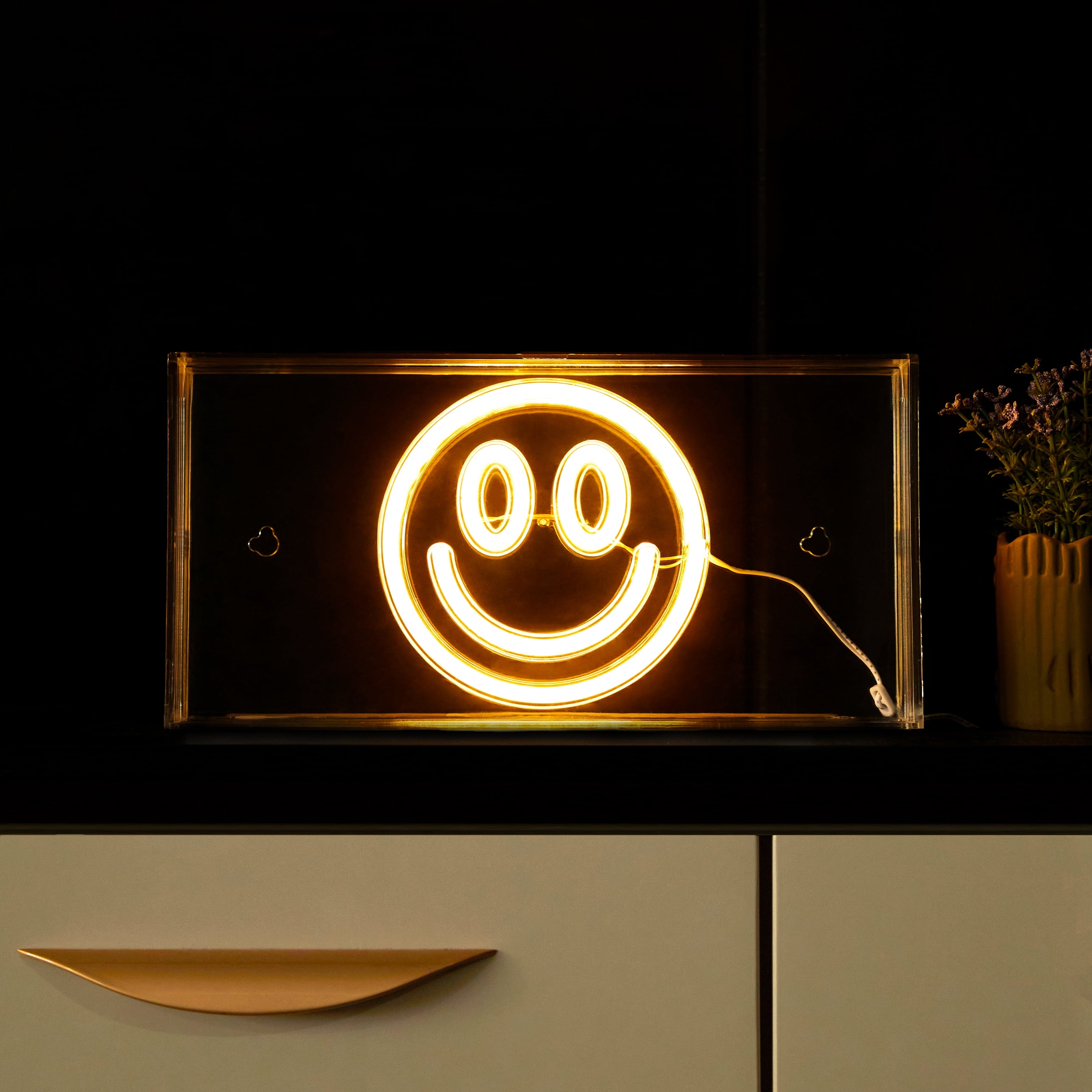 LED Neon Smiley Face Light-up Clear Acrylic Box, Yellow – Par-Masters