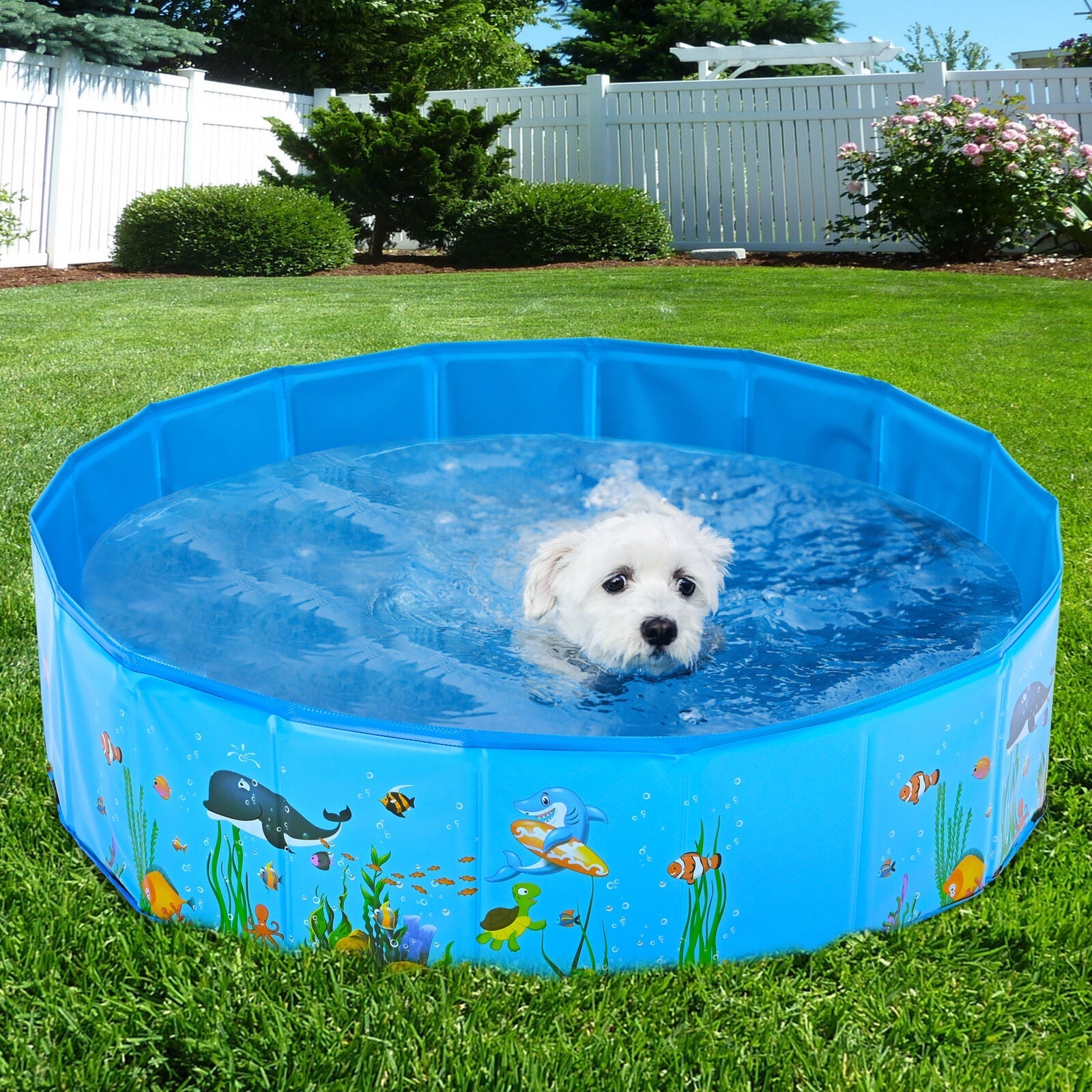 Large Portable Puncture Proof Plastic Dog Swimming Pool – Par-Masters